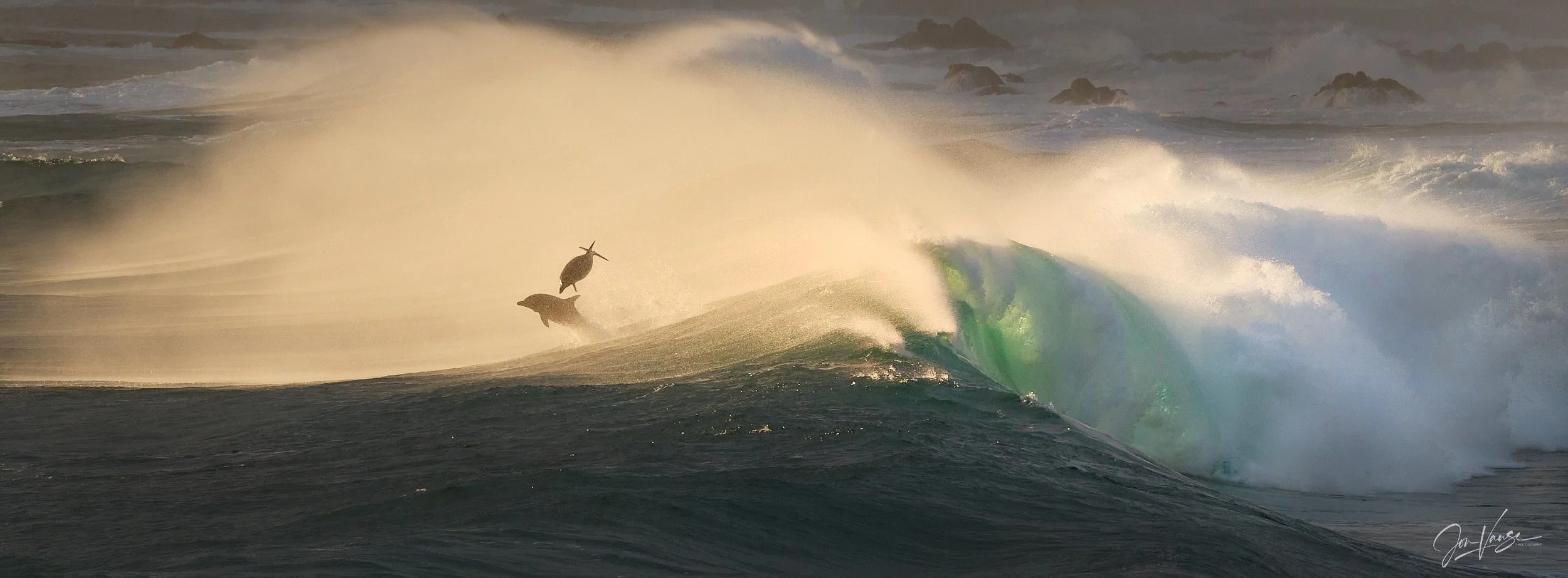 Jon Vause Photography