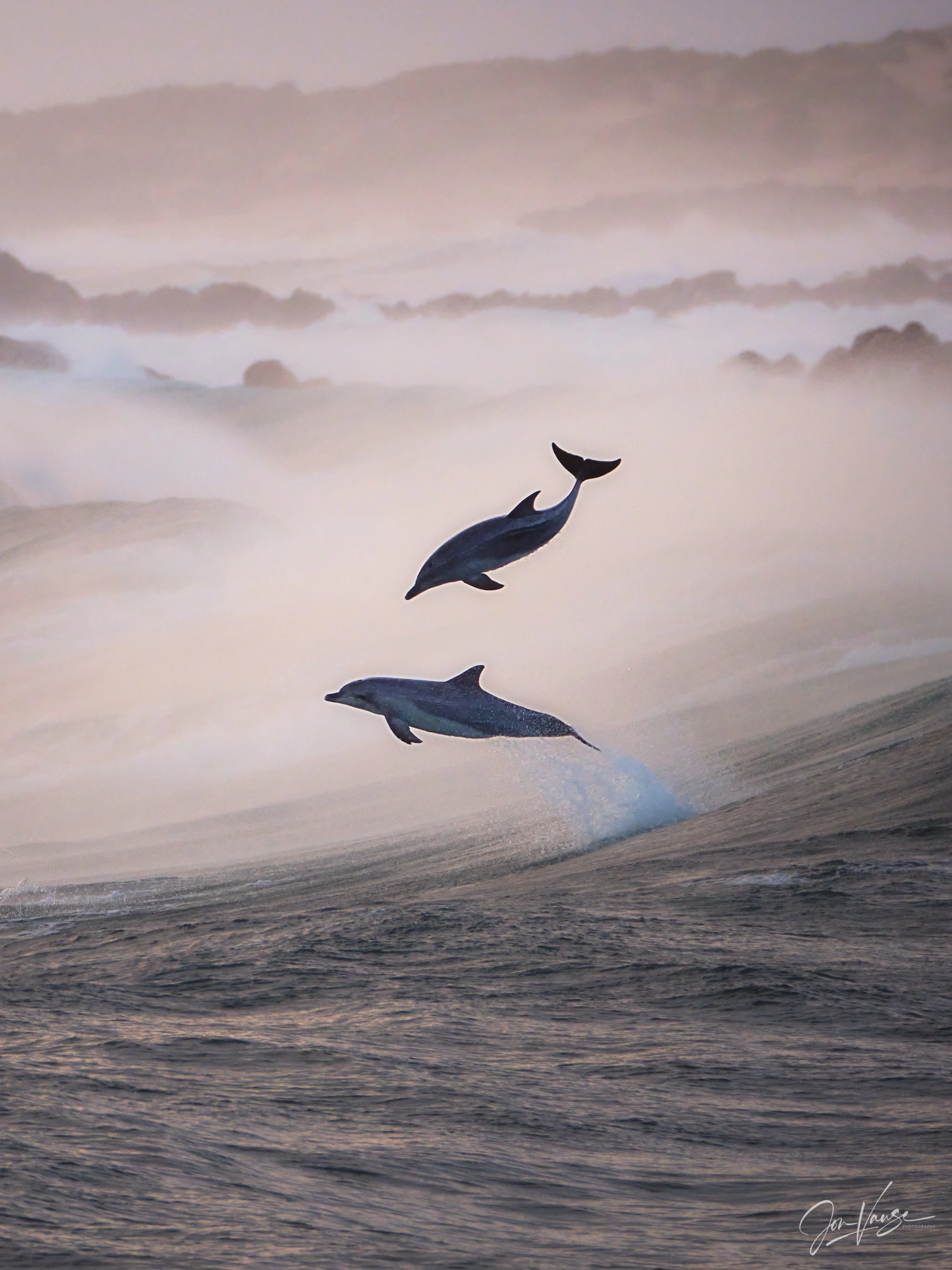 Jon Vause Photography