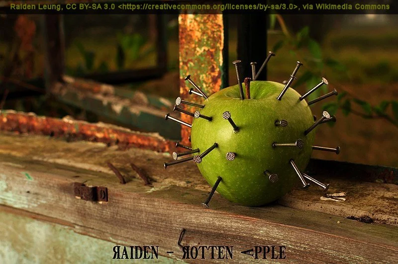 Virginia Stoner Writing & Art