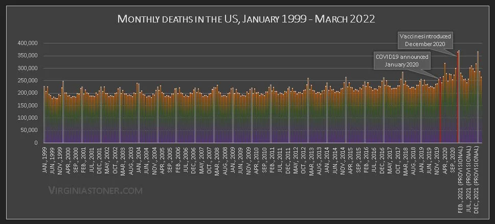 CDC data shows deaths in the US have exploded — Virginia Stoner Writing ...