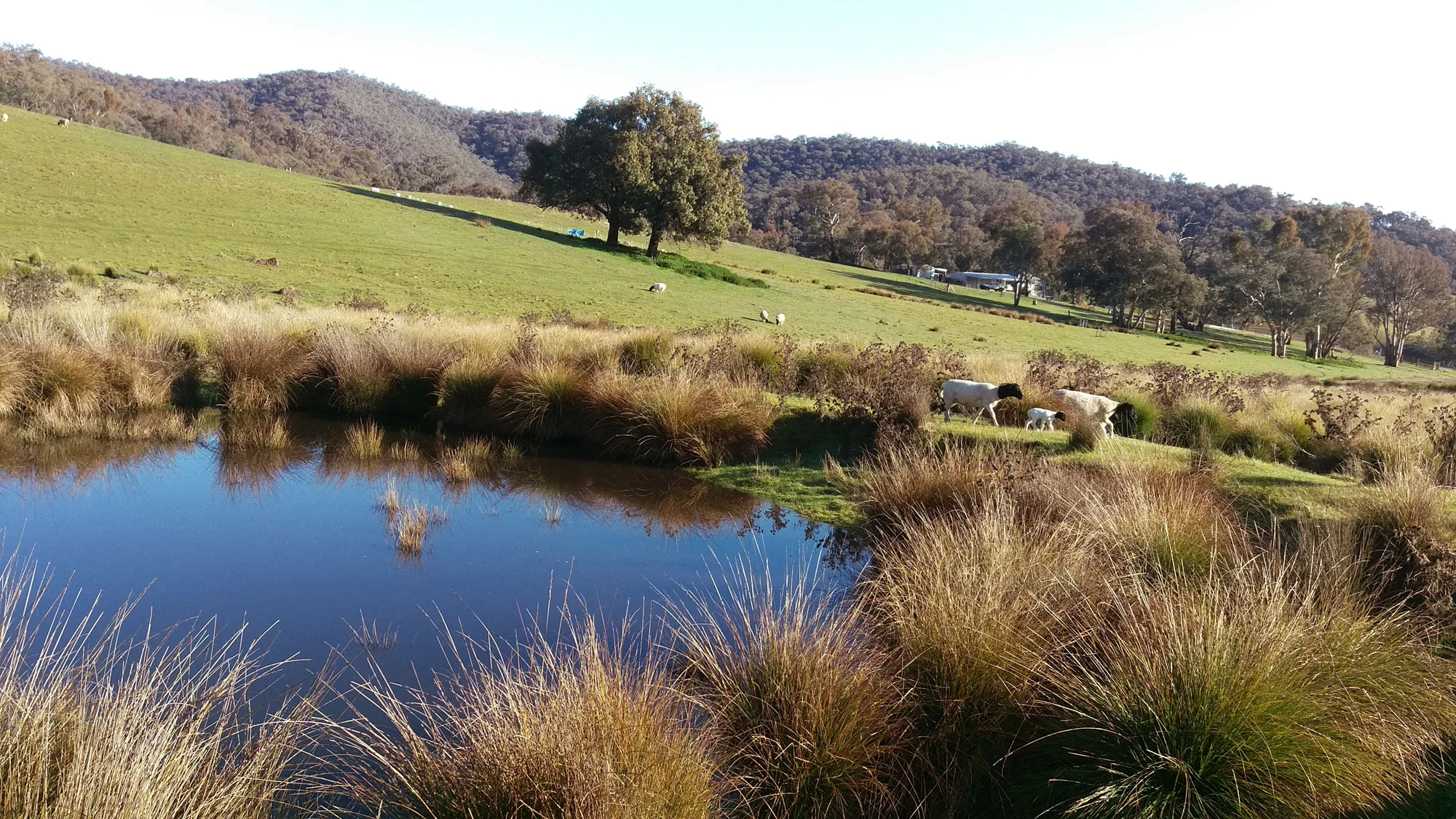 Highfield Farm & Woodland - EcoNest Accommodation