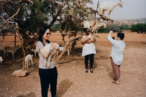 Work — Caity Weaver