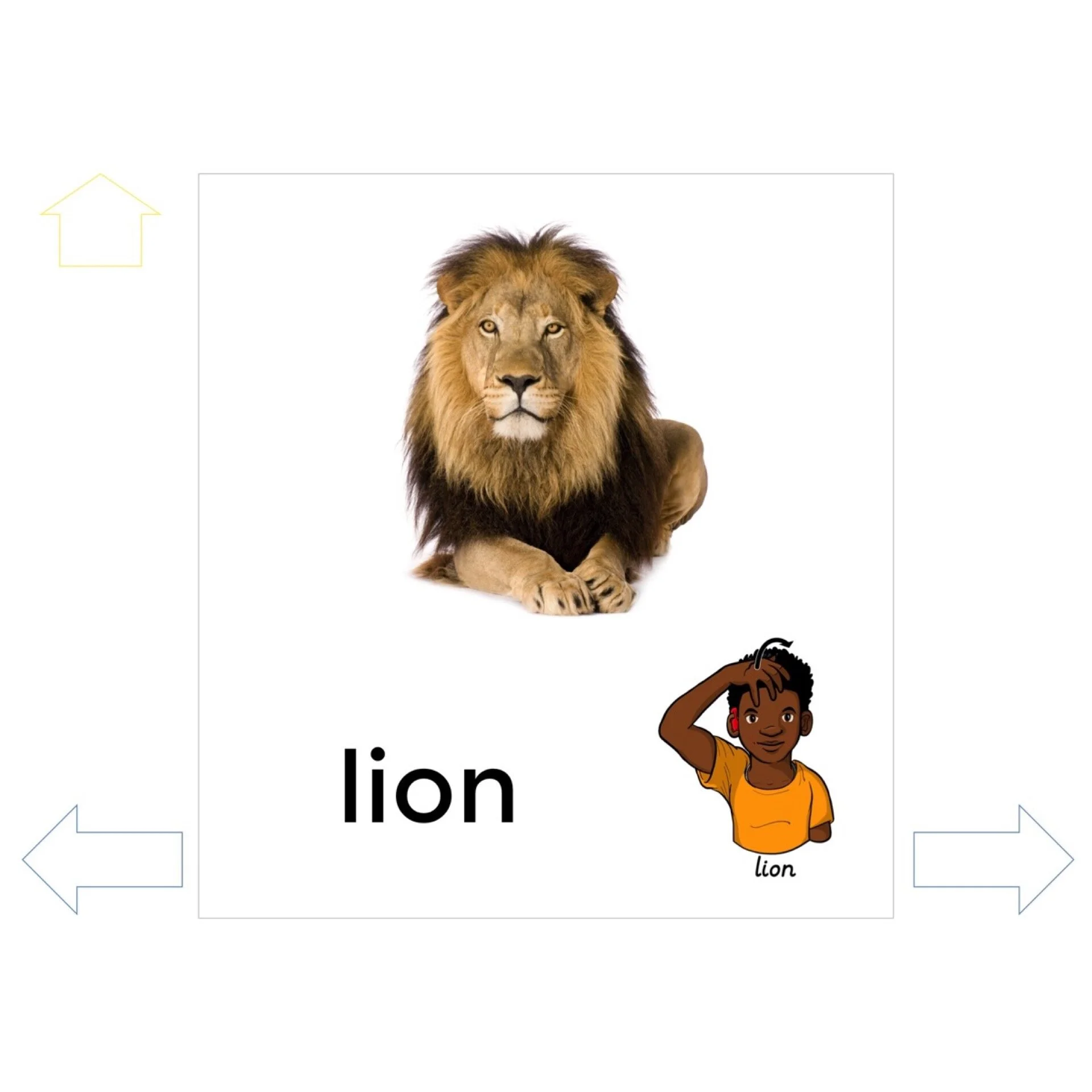 Sign Language For Hippo