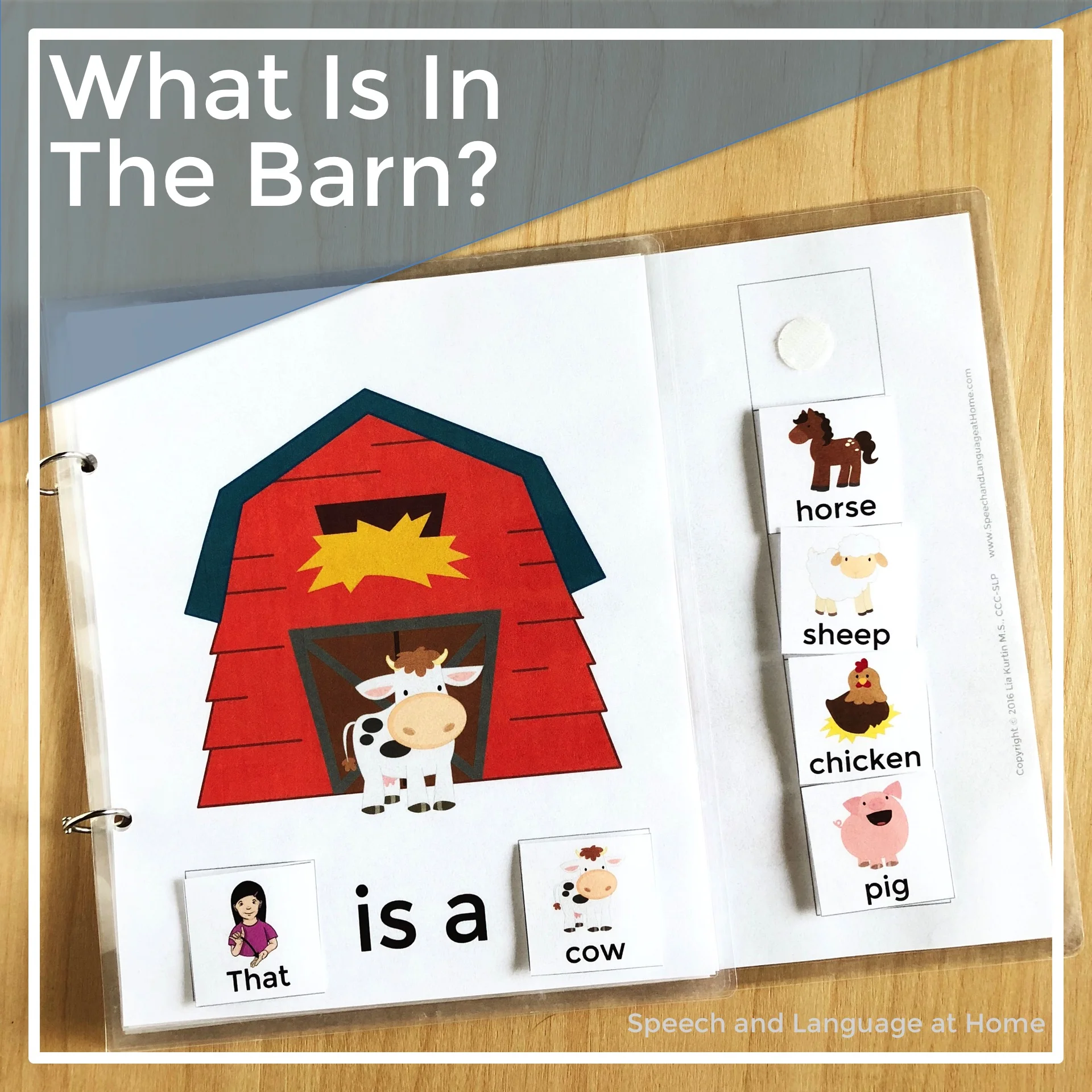 Speech and Language at Home