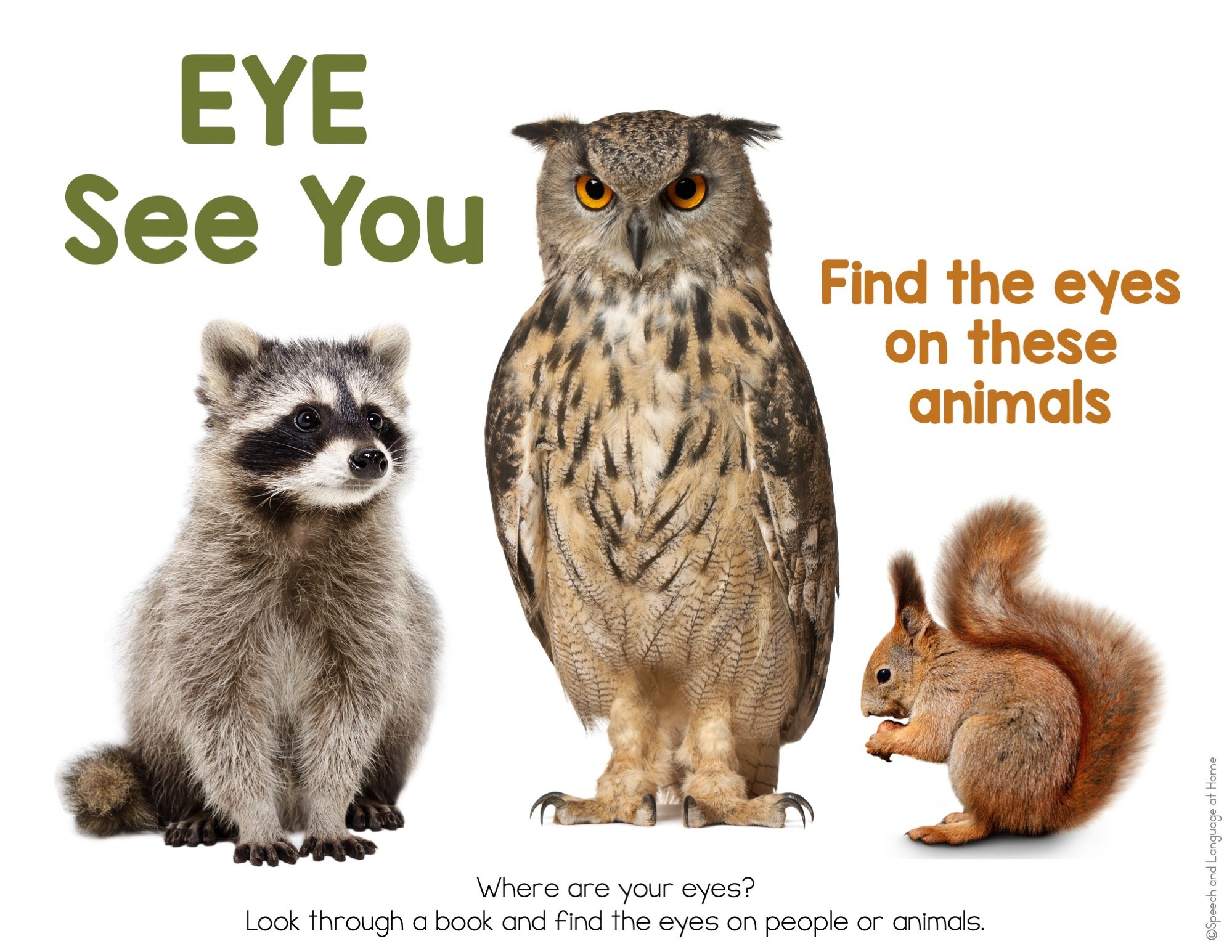 October Early Intervention Speech Activities You Can Do At Home — SLP