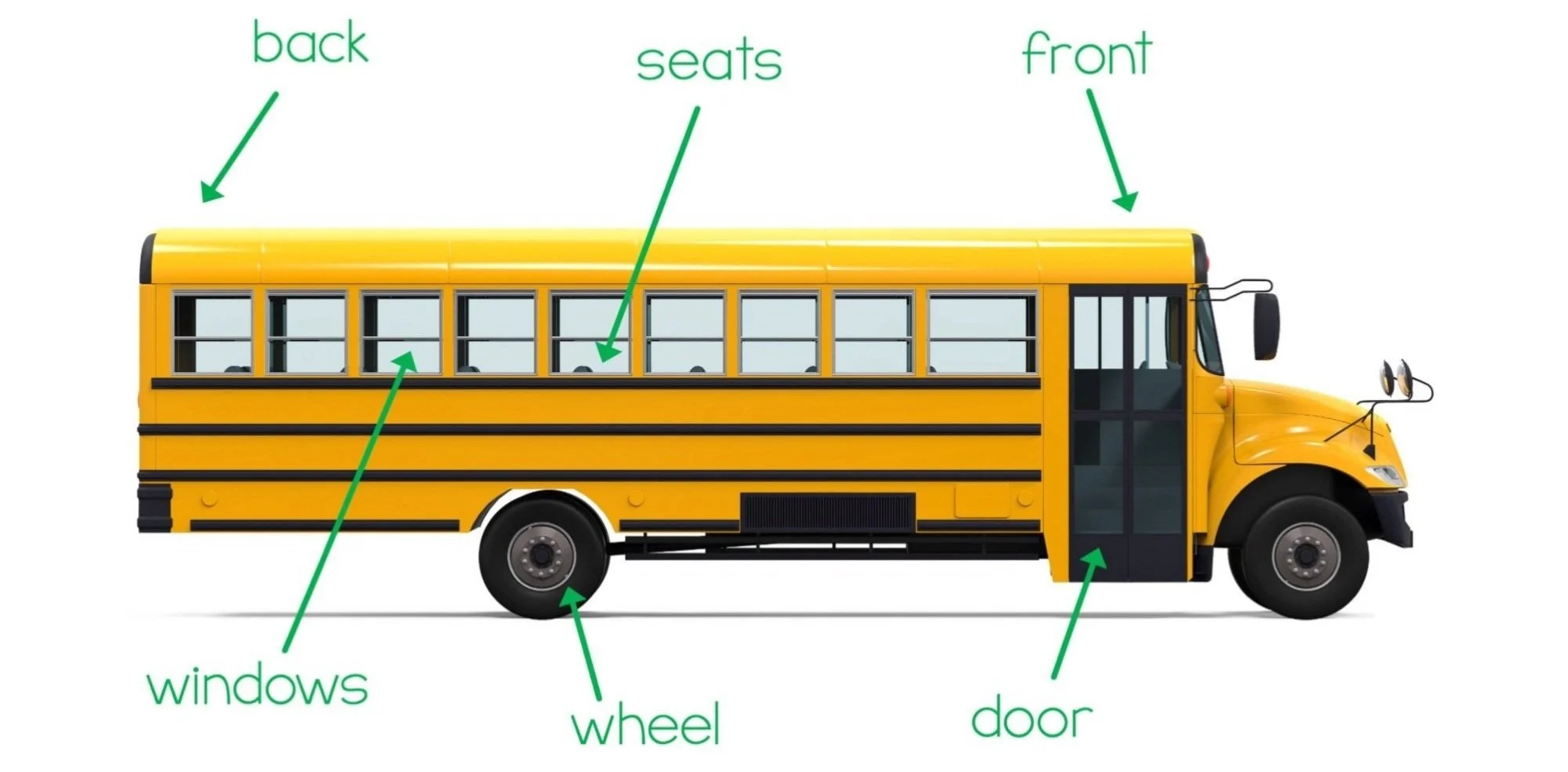 Bus-Themed Vocabulary: Speech Activities for Preschoolers — SLP