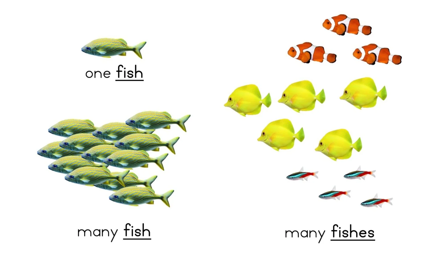 Fish Language Fun: Rhymes, Story & Preschool Speech Practice — SLP