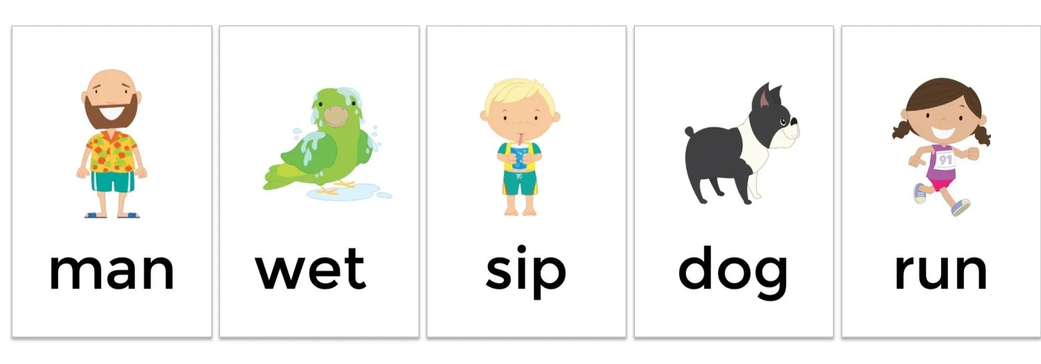 CVC Words: A Parent’s Guide to Consonant-Vowel-Consonant Basics — SLP