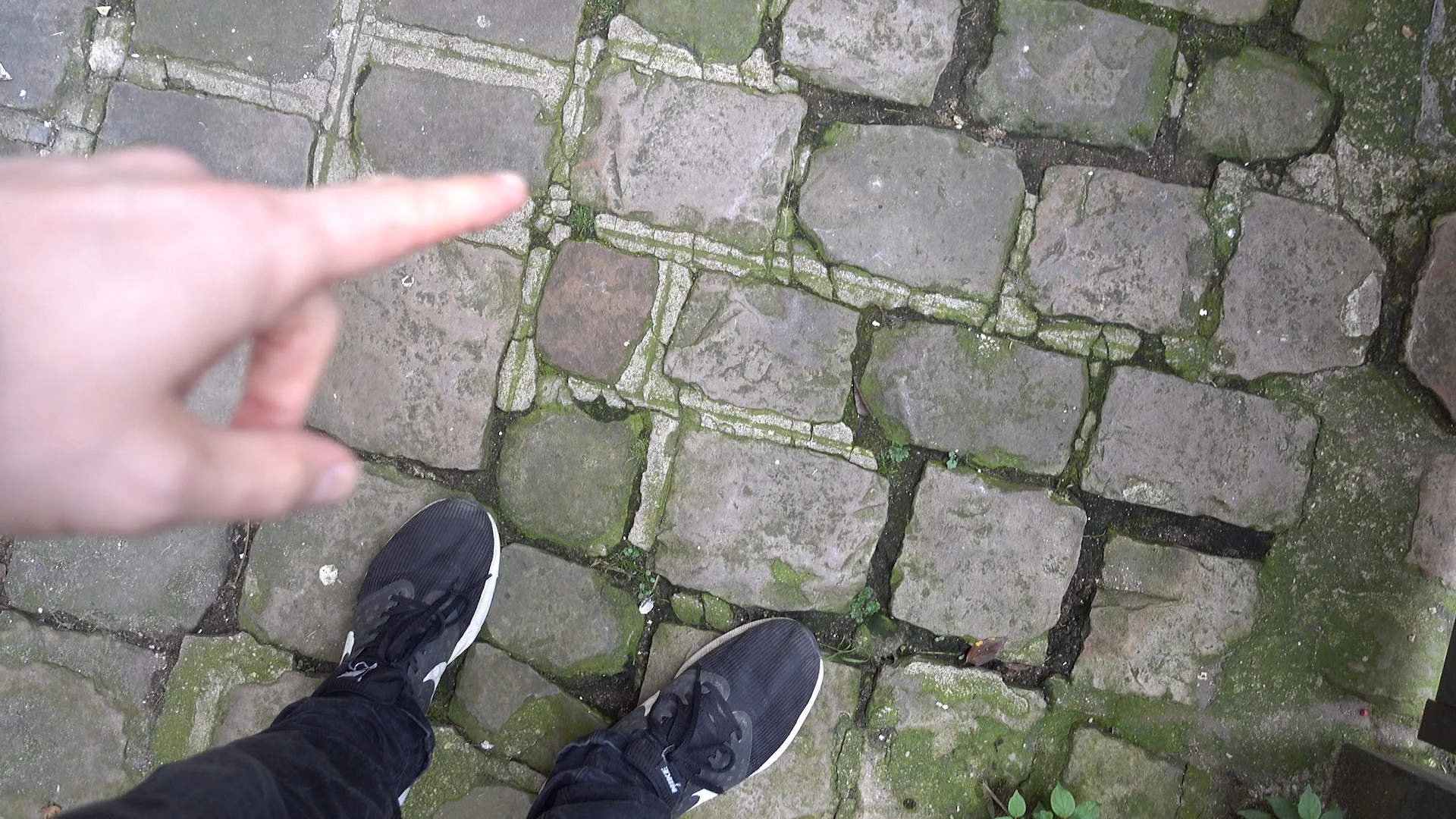 Add Texture to Graphics in Adobe After Effects