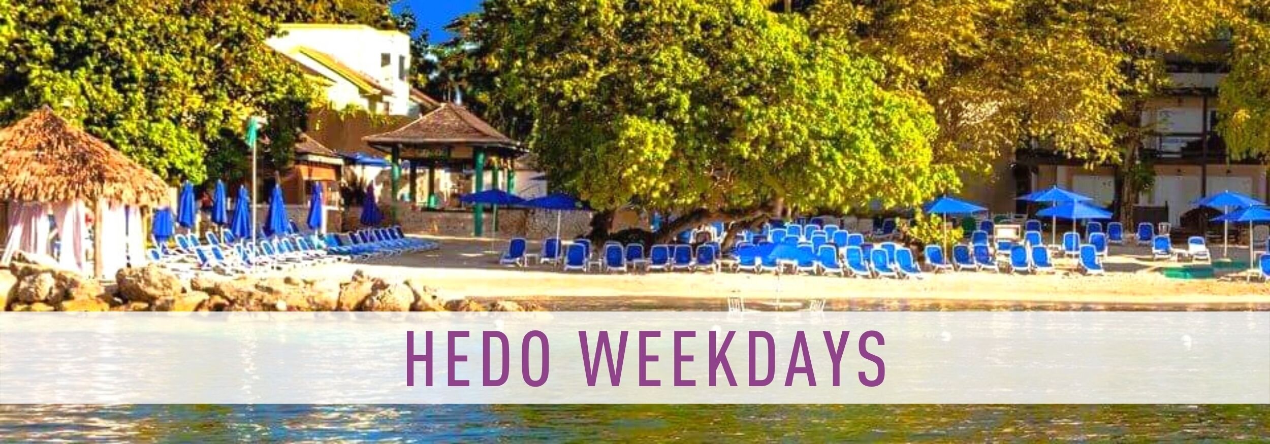 Hedonism Ii Vs Hedonism Iii