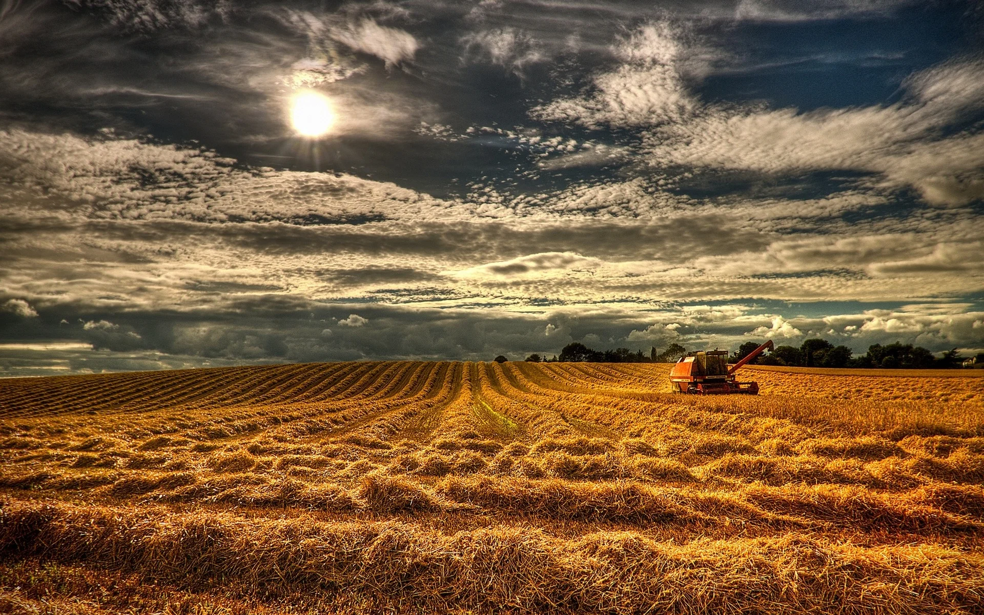 The Real Meaning Of Our Harvest Celebration IM Free Church The Real Meaning Of Our Harvest Celebration IM Free Church