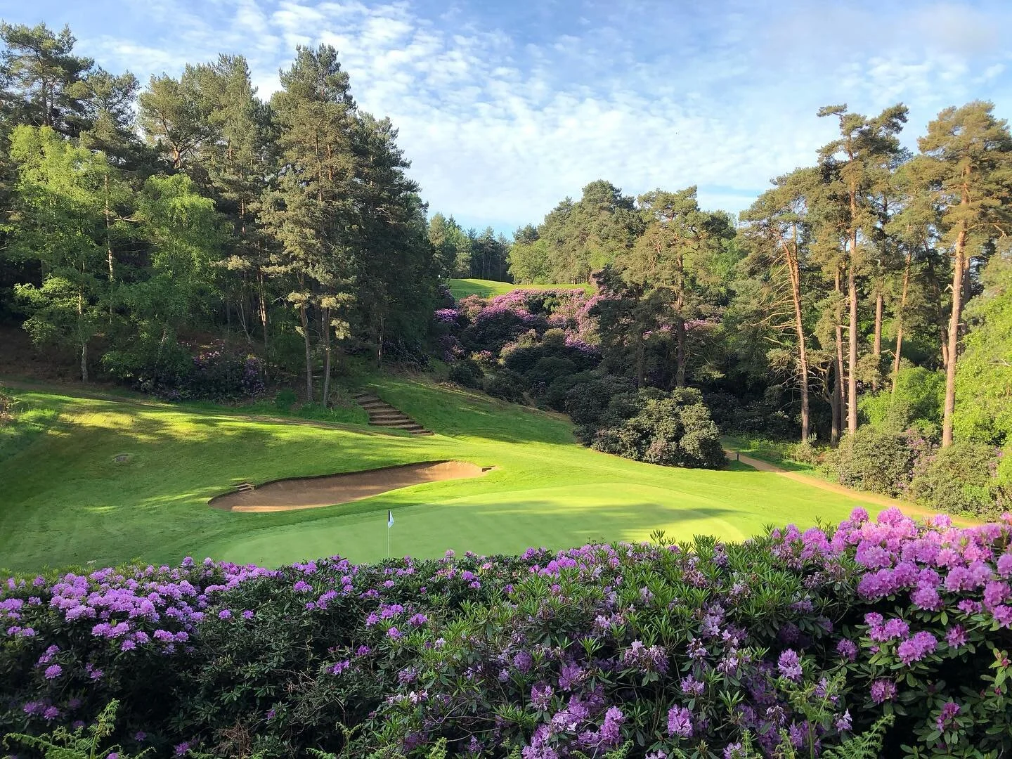 WILL ROEBUCK GOLF