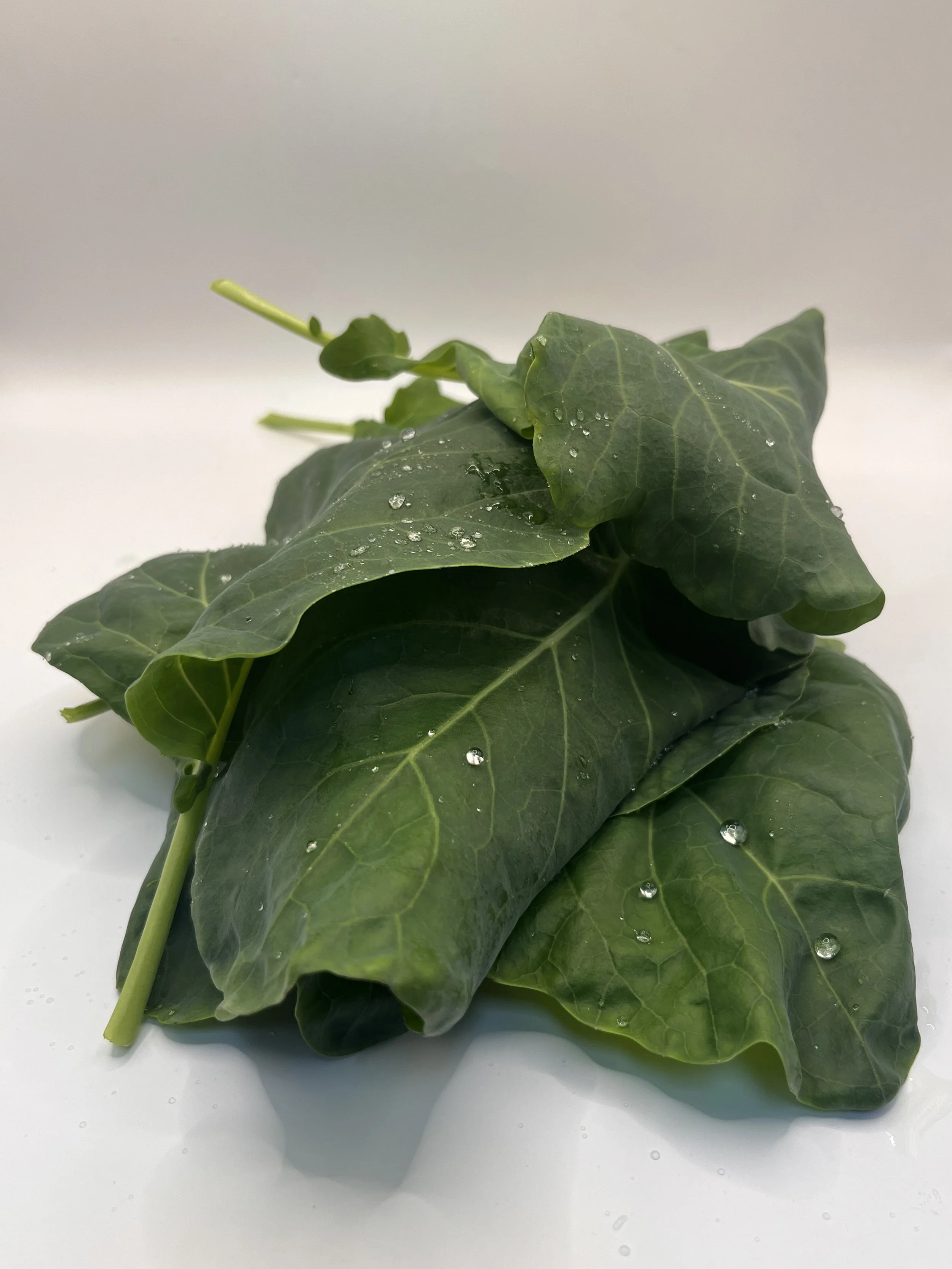 Shop Better Fresh Market - ALL — Better Fresh Farms