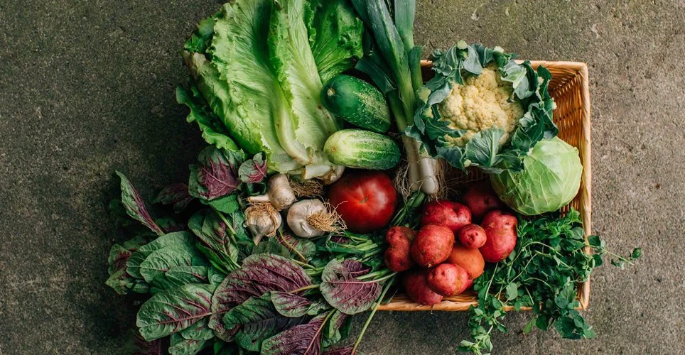 Better Fresh Market — Better Fresh Farms