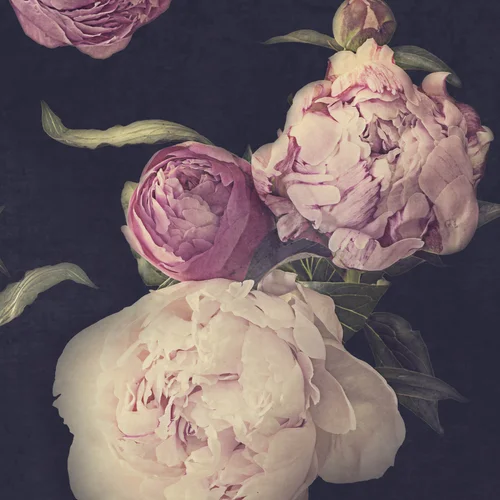 Emma Andersen Design & Art Direction