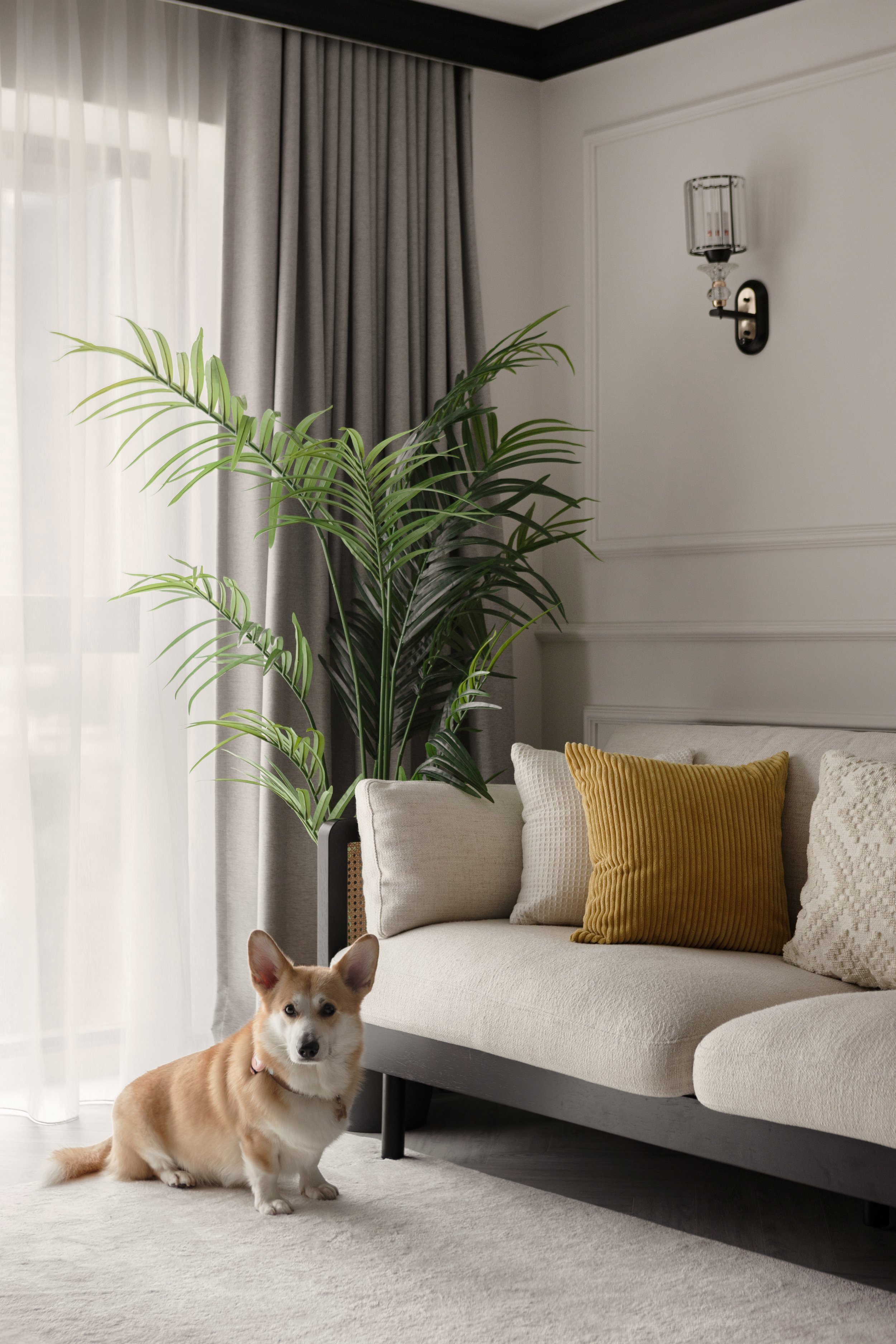 Top Modern Colonial Interior Design (2024) | Lemonfridge SG ...