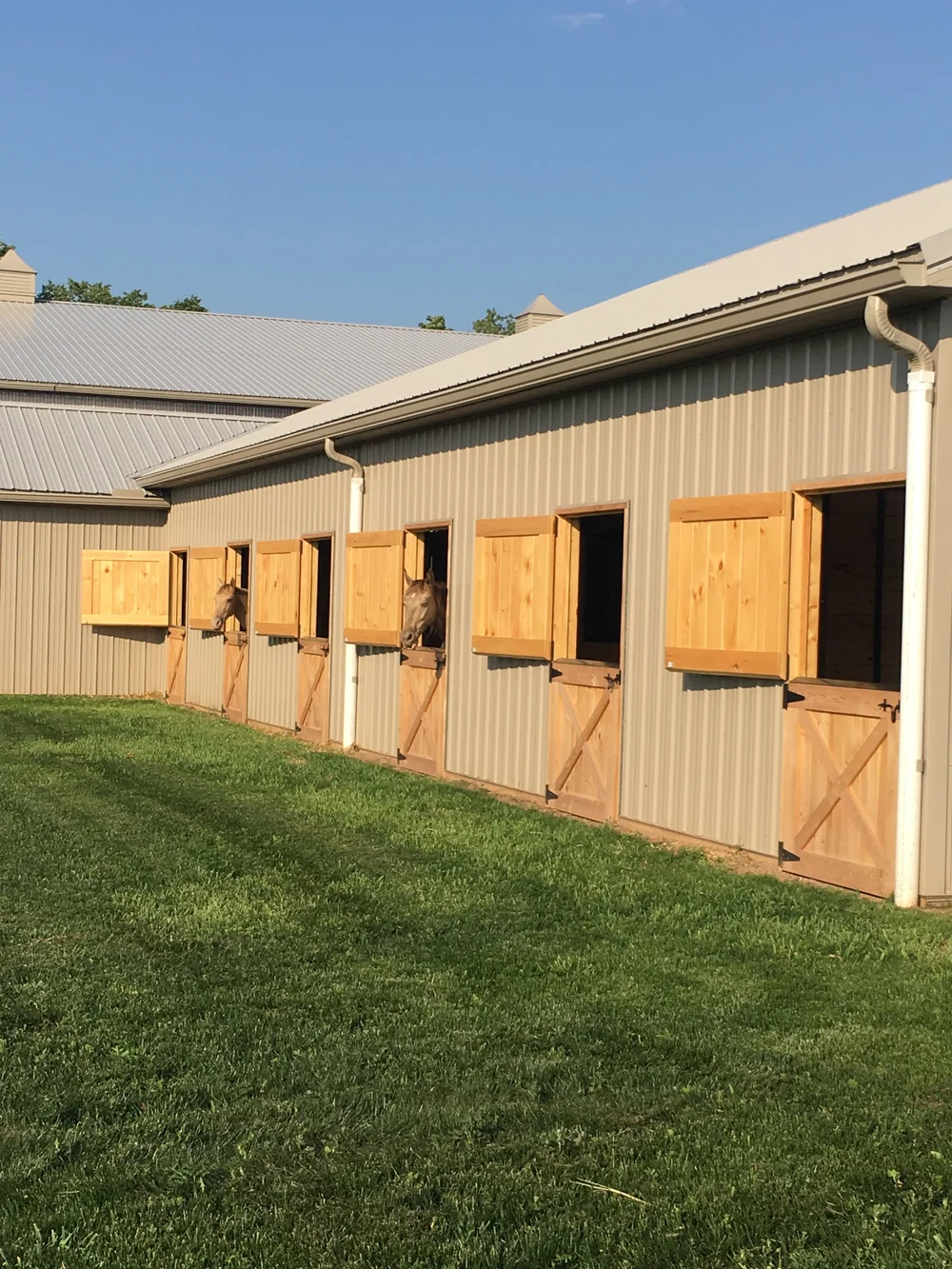Boarding — Fun-E Farm T.O.O.