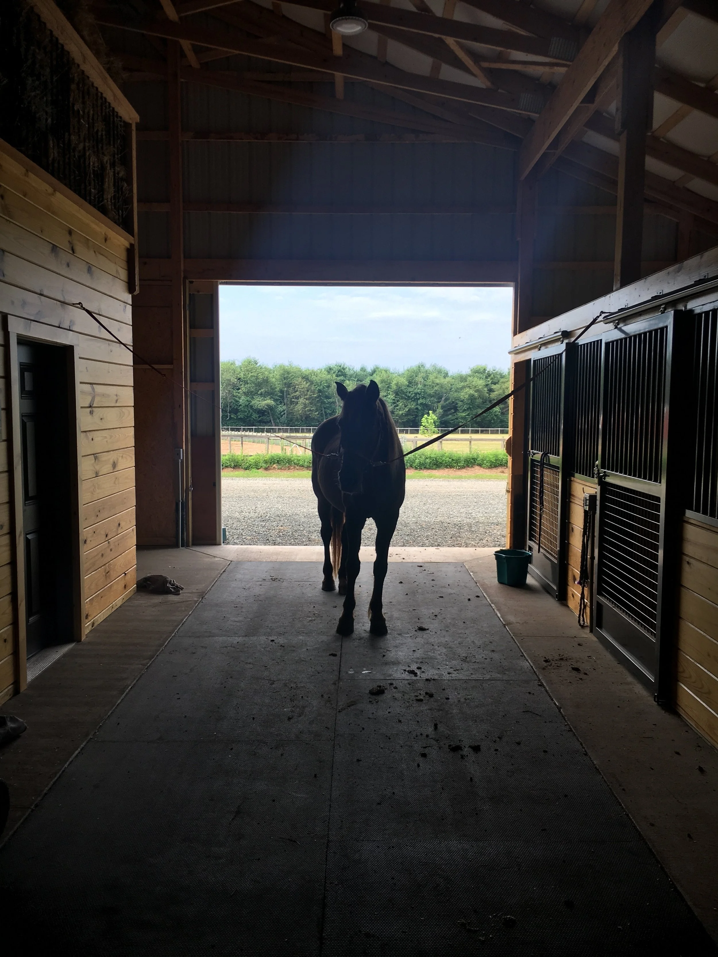 Boarding — Fun-E Farm T.O.O.