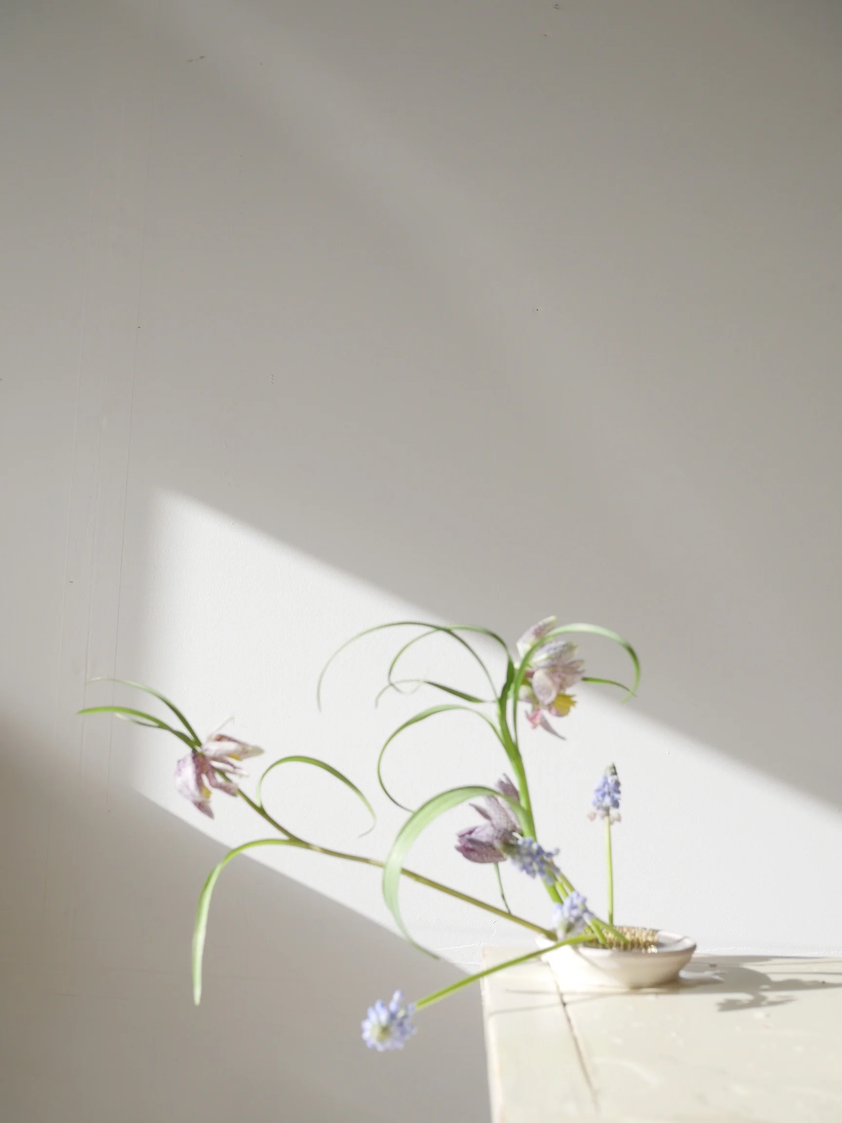 FLORAL FROGS | Portland Florist | Color Theory Design