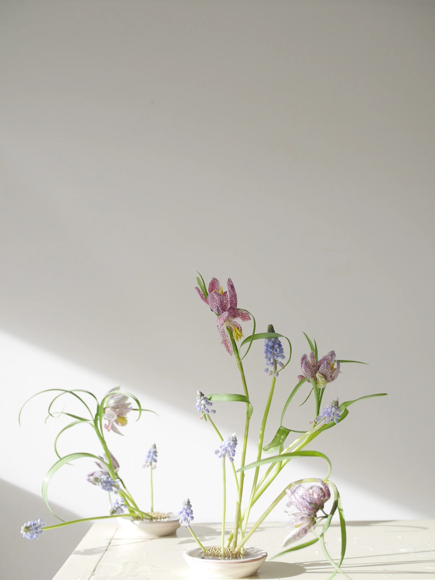 FLORAL FROGS | Portland Florist | Color Theory Design