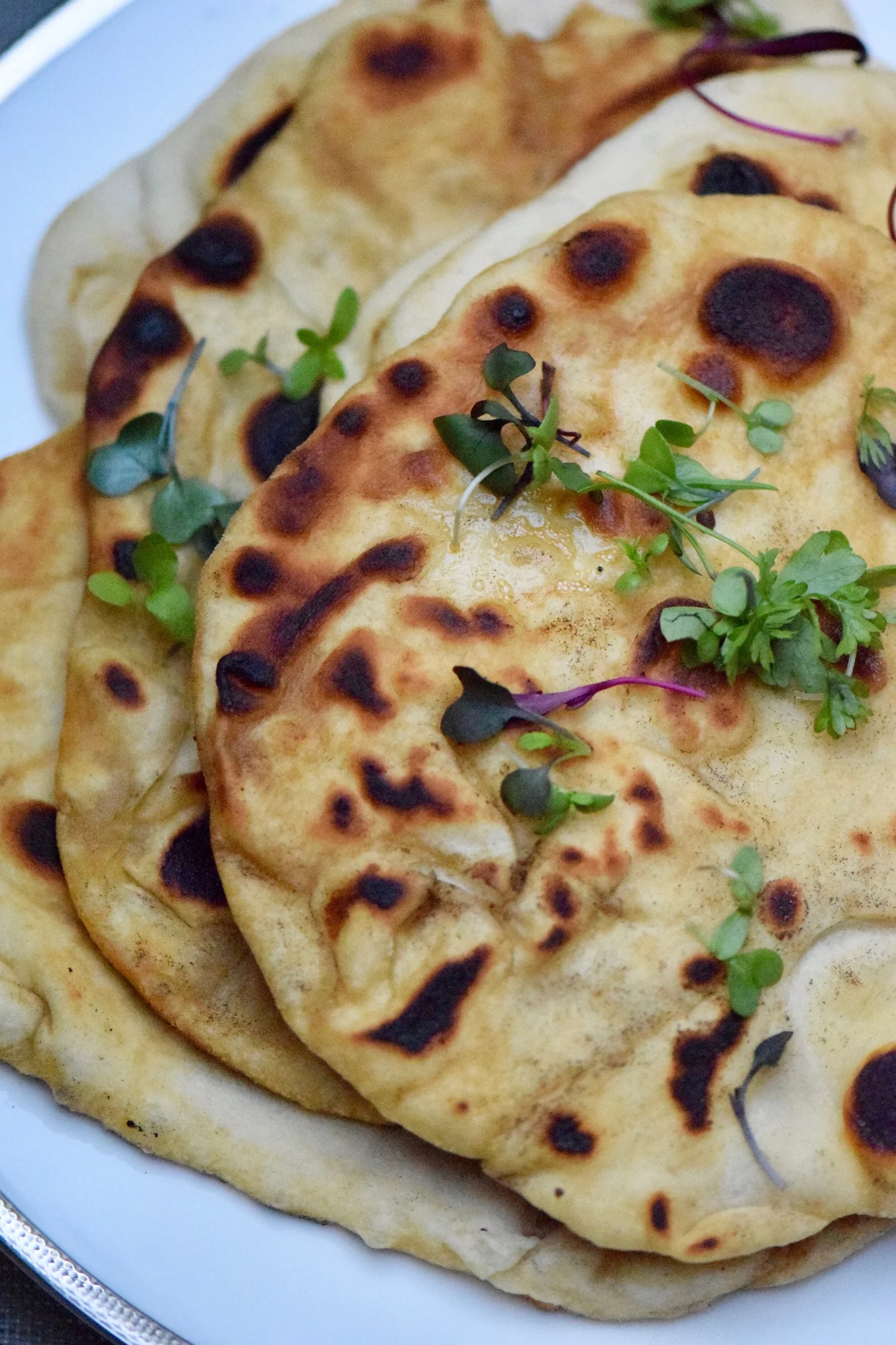 HOMEMADE PITA BREAD IN A CAST IRON SKILLET — Very Vanderpump