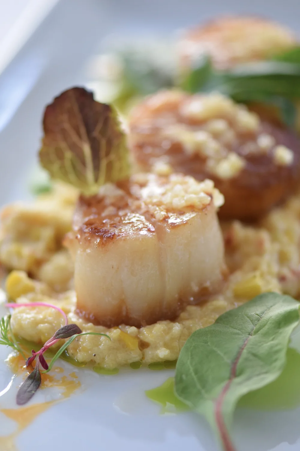 BROWN BUTTER SCALLOPS OVER SWEET CORN RISOTTO — Very Vanderpump