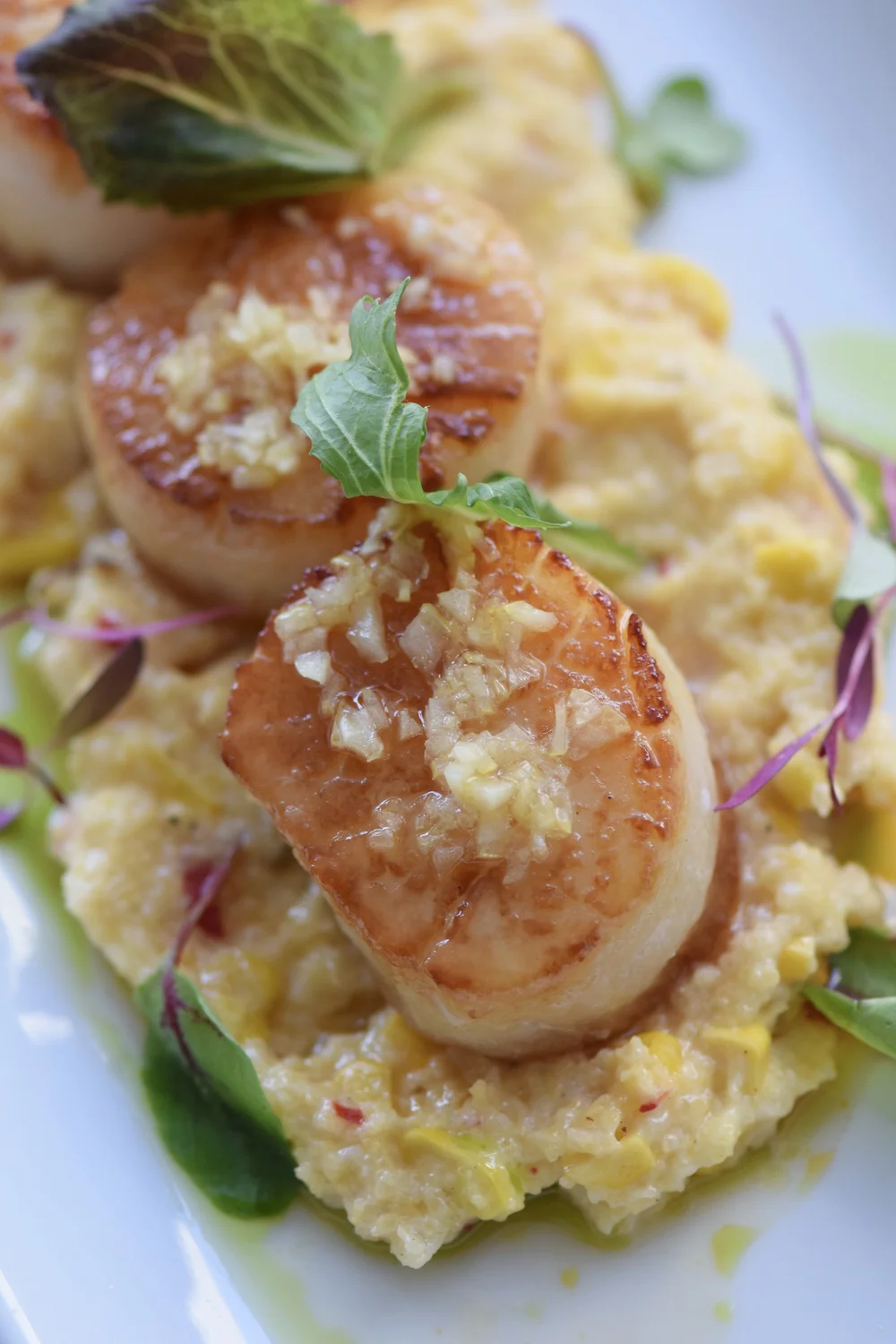 BROWN BUTTER SCALLOPS OVER SWEET CORN RISOTTO — Very Vanderpump