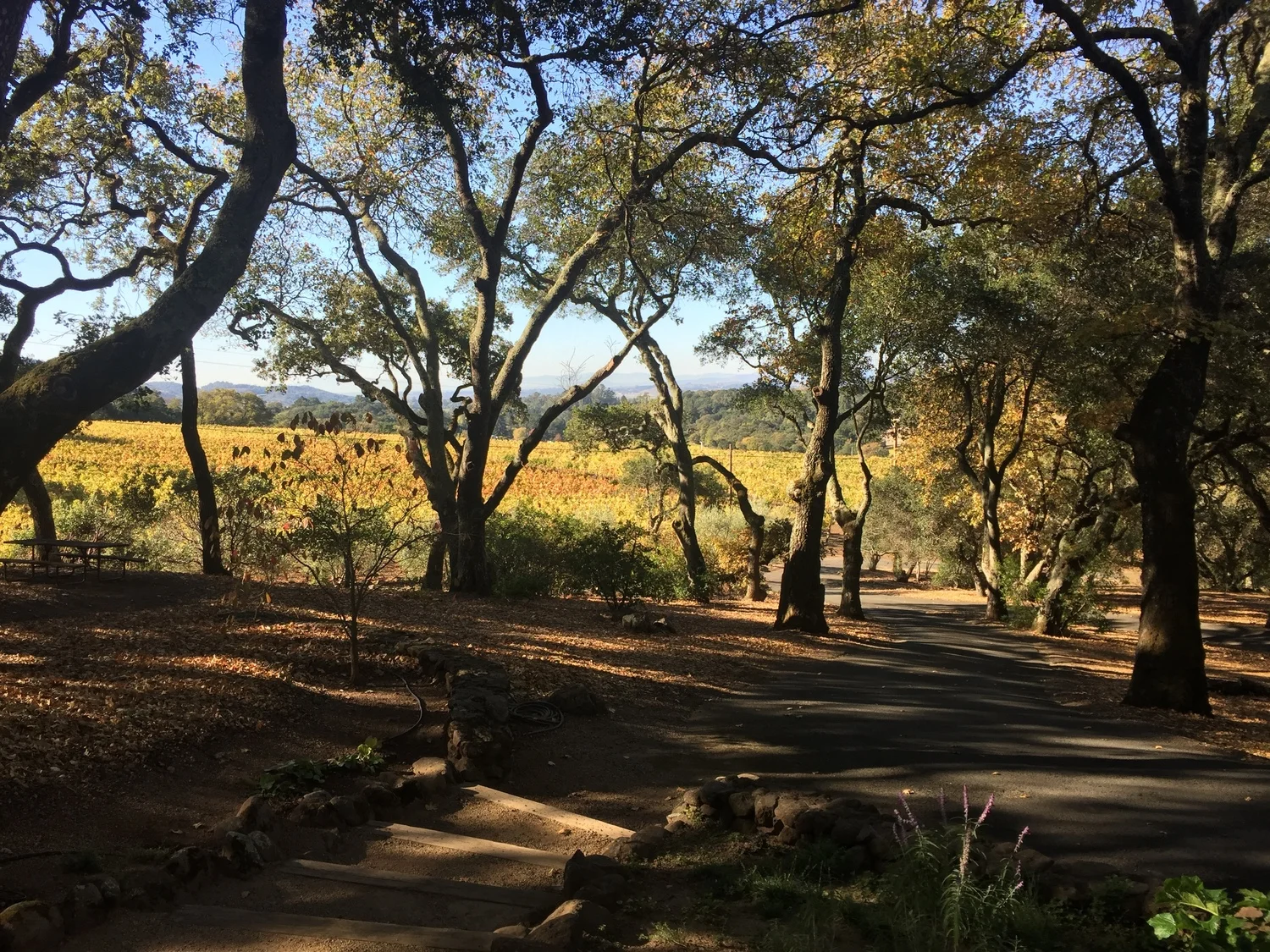 Farella — SoilAir Selection