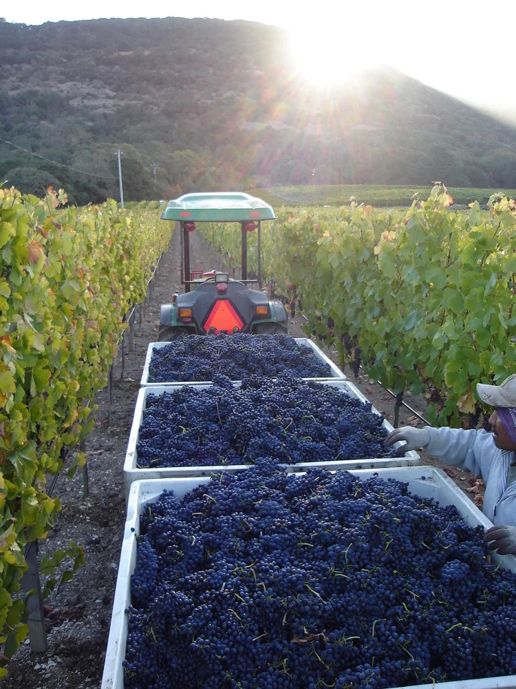 Farella — SoilAir Selection