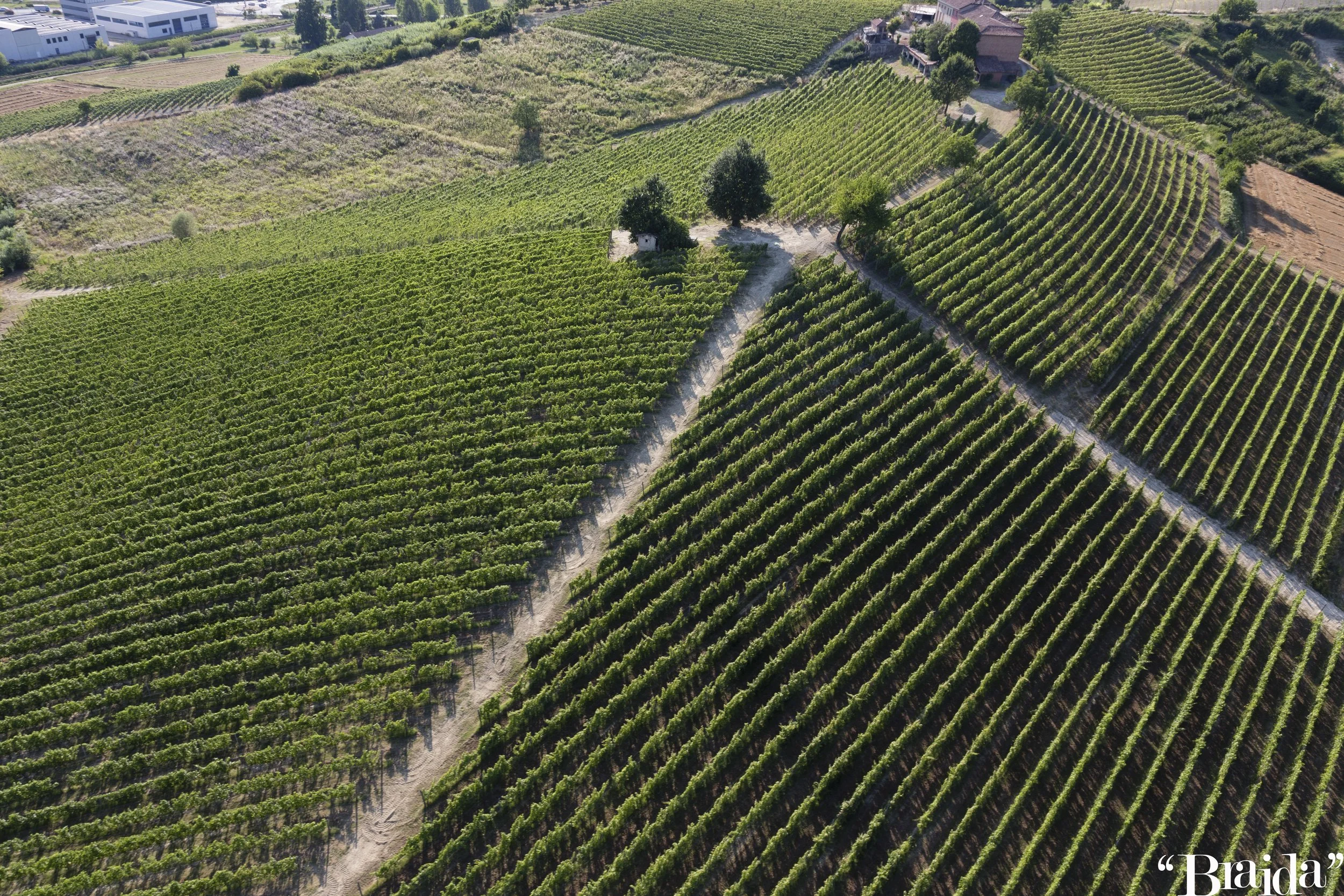 Braida — SoilAir Selection