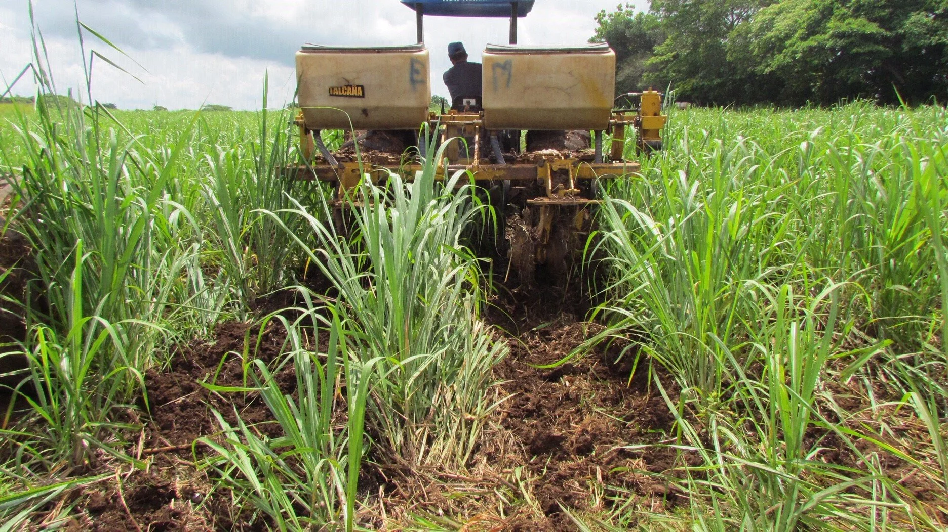 Moko Rum — SoilAir Selection