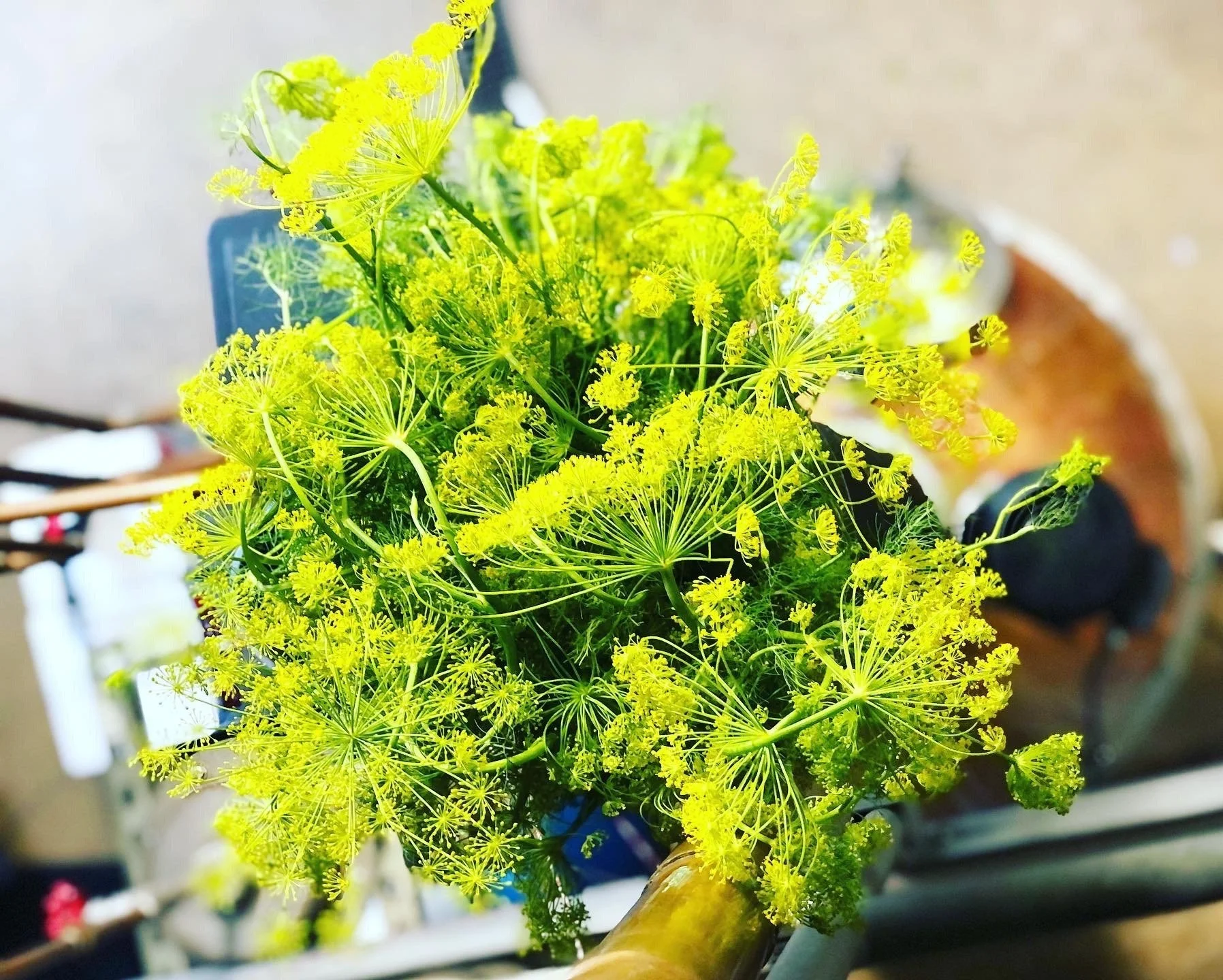 Norden — SoilAir Selection