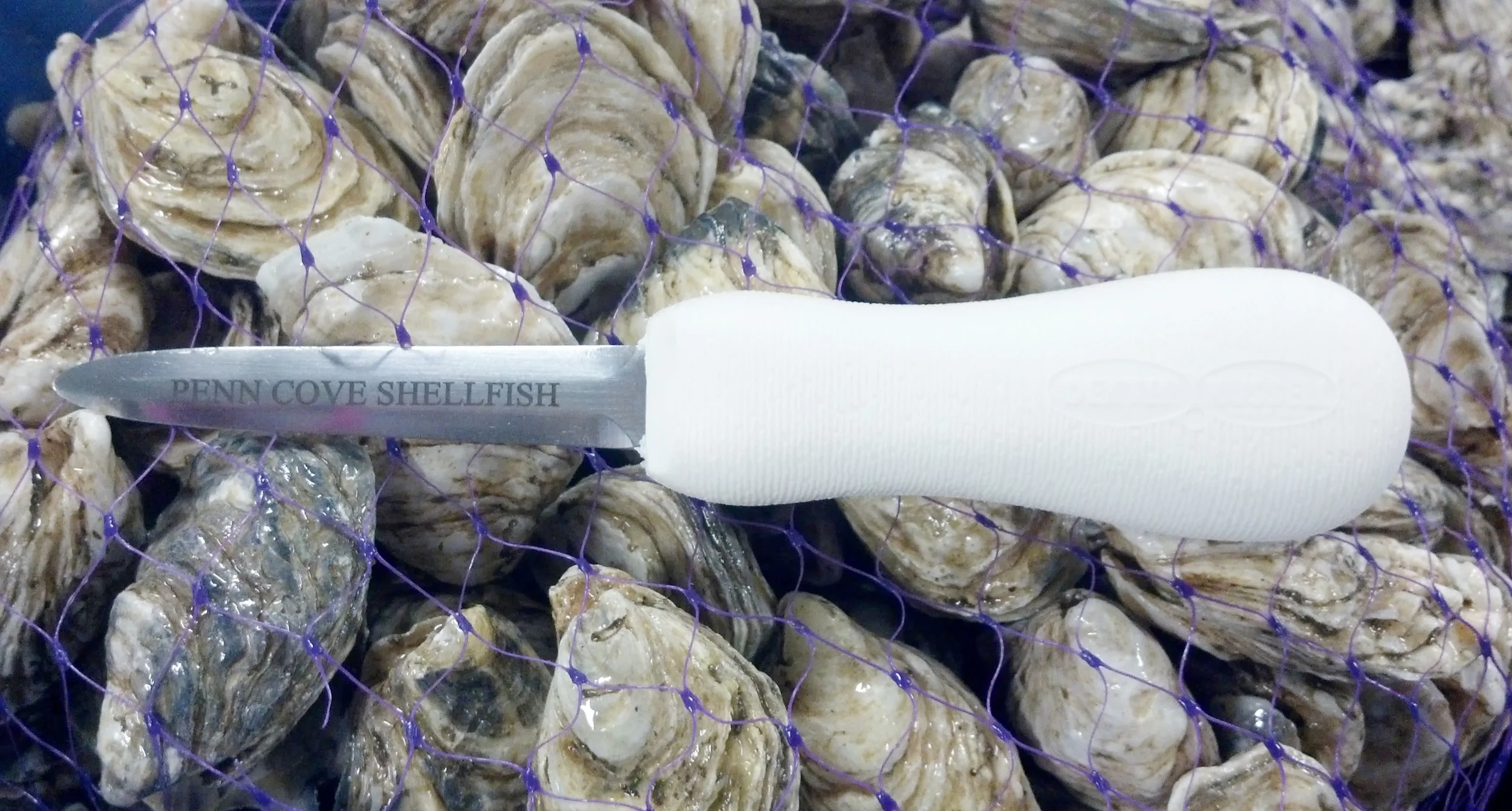 Samish Pearl — Penn Cove Shellfish