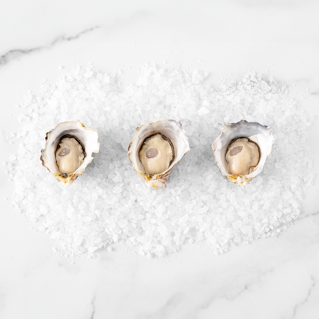 Sea Inlet — Penn Cove Shellfish