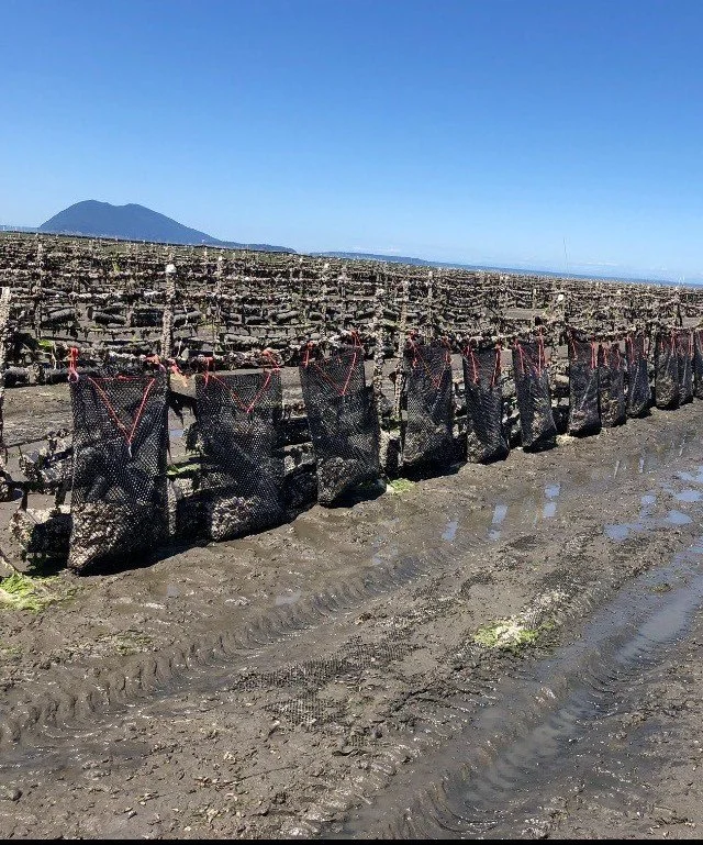 Samish Bay Farmers — Penn Cove Shellfish