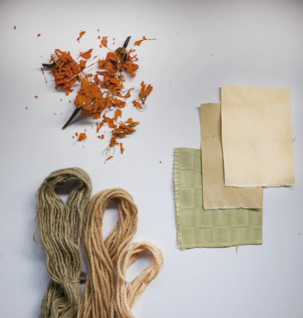 Green Matters Natural Dye Company — Natural Dye Studio