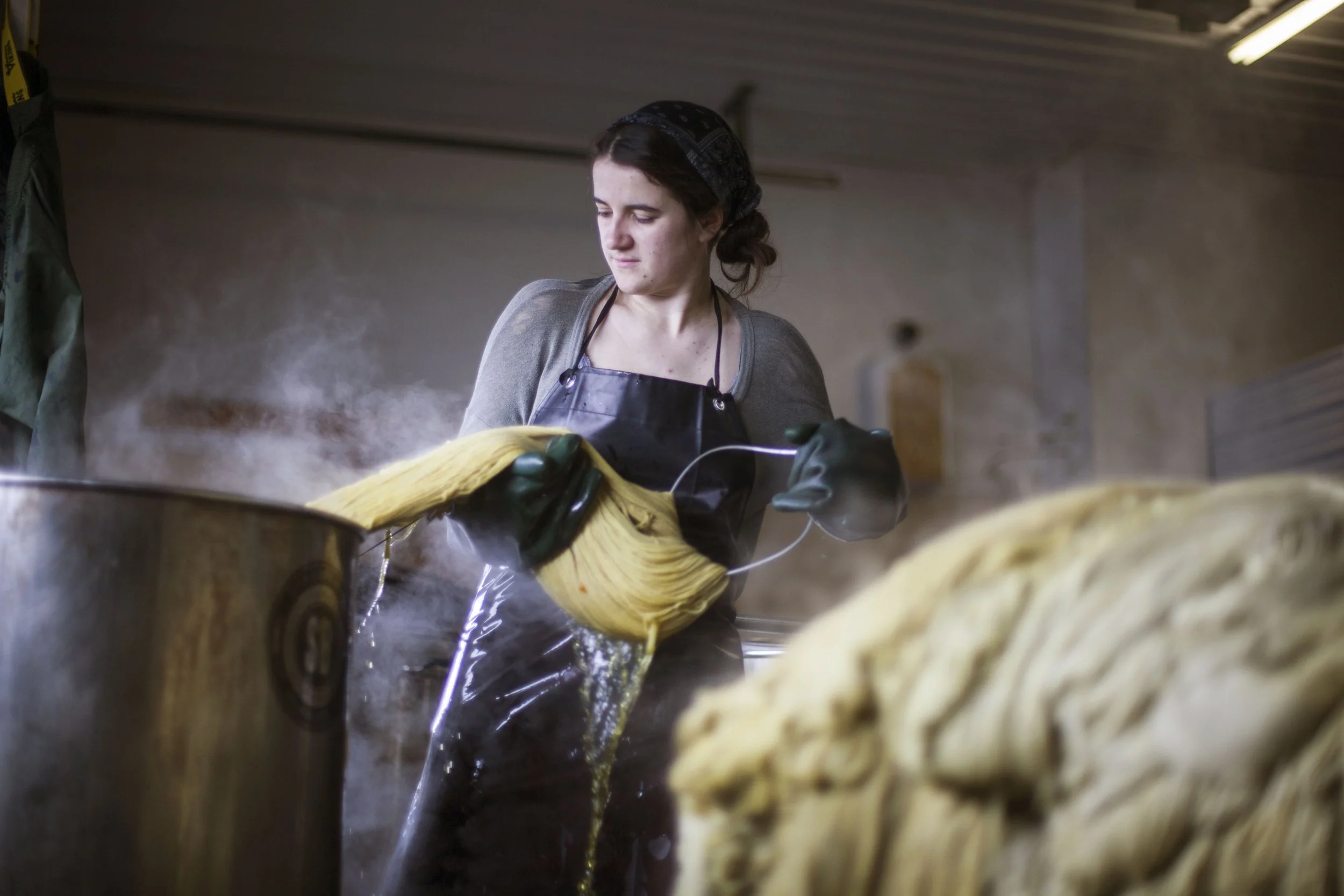 Green Matters Natural Dye Company — Workshops & Events