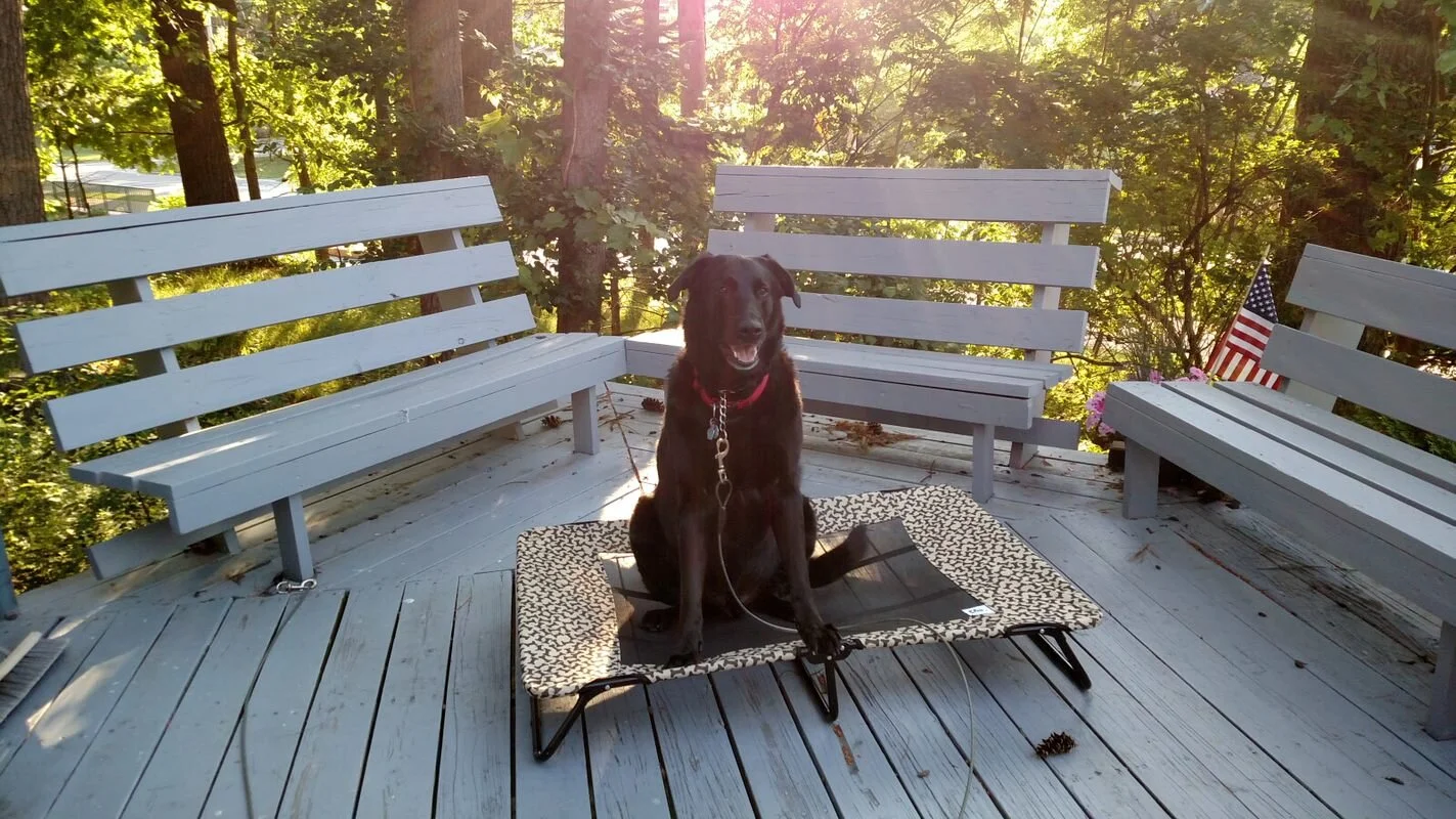 Dave Duewel, Senior Designer — Degnan Design-Build-Remodel