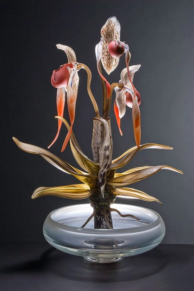 Portfolio — Debora Moore