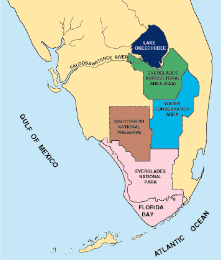 The Everglades Agricultural Area — Lake Okeechobee Business Alliance