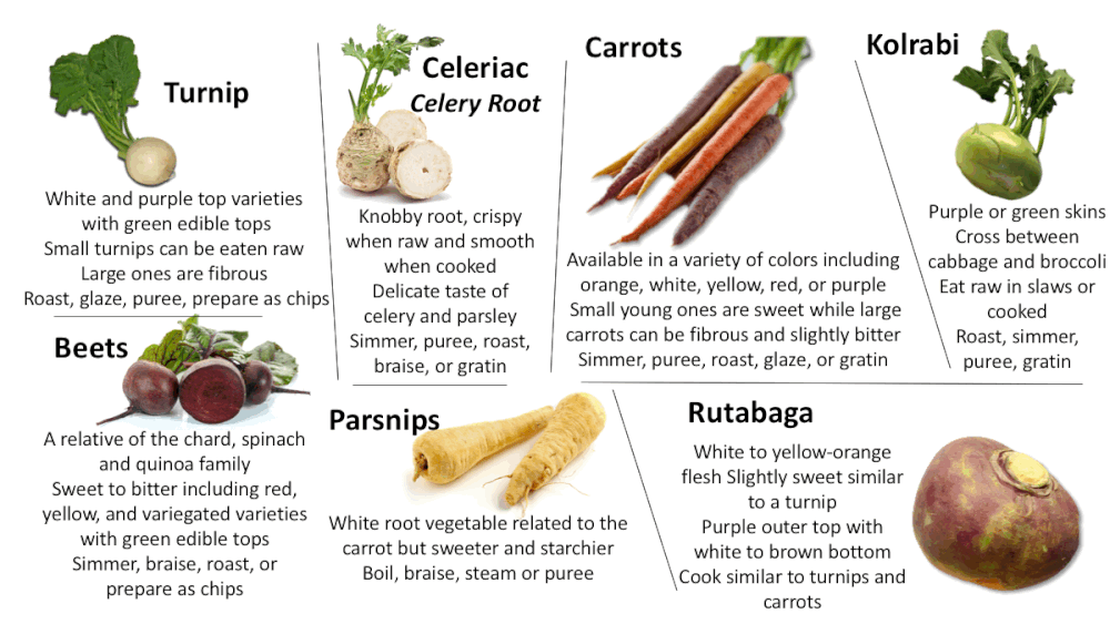 Root & Tuber Vegetables — The Culinary Pro