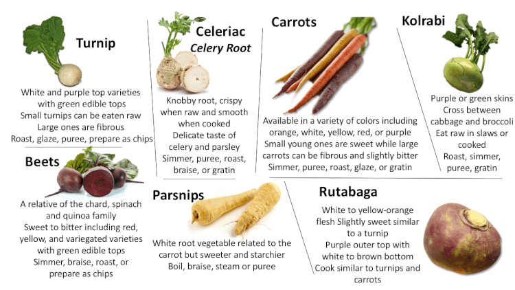 Root & Tuber Vegetables — The Culinary Pro