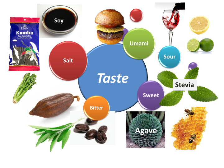 Season to Taste — The Culinary Pro