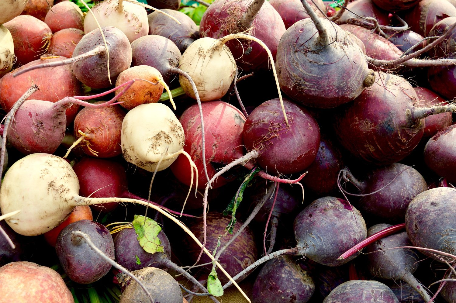 Vegetable Storing and Handling — The Culinary Pro