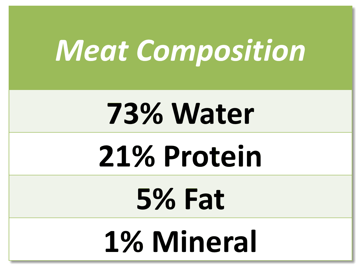 The Science of Cooking Proteins — The Culinary Pro