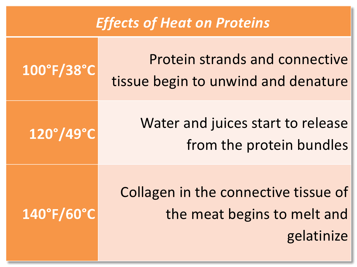 The Science of Cooking Proteins — The Culinary Pro