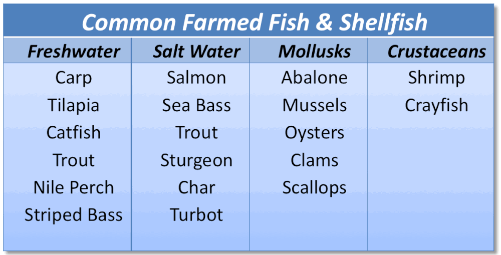 About Fish & Shellfish — The Culinary Pro