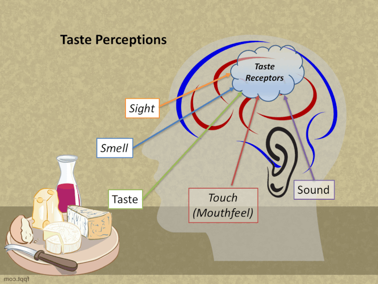 Season to Taste — The Culinary Pro
