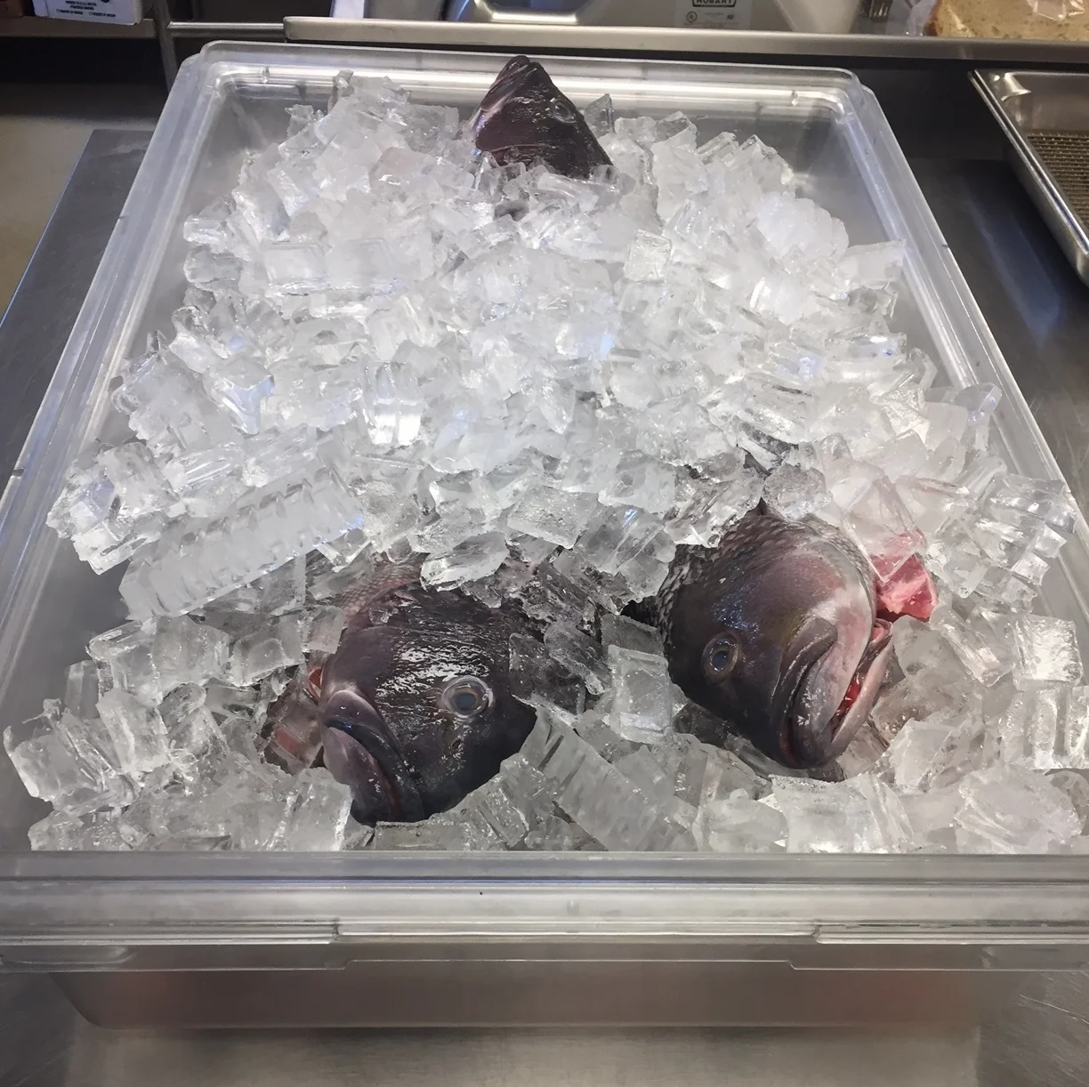 Fish and Shellfish Fabrication Methods — The Culinary Pro