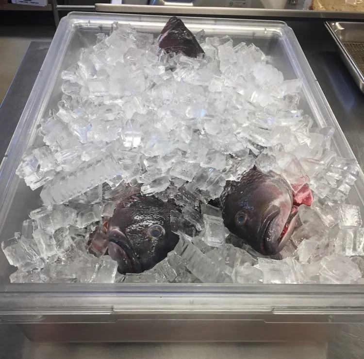 About Fish & Shellfish — The Culinary Pro